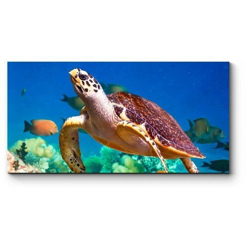Модульная картина Черепаха в коралловом рифе 70x35