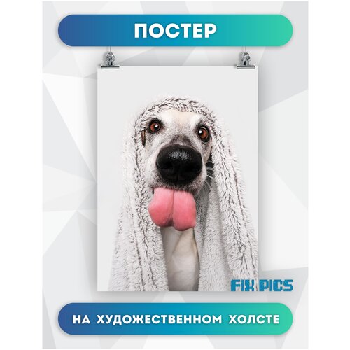 Постер на стену Собака, кожаный нос, пес (2) 40х60 см
