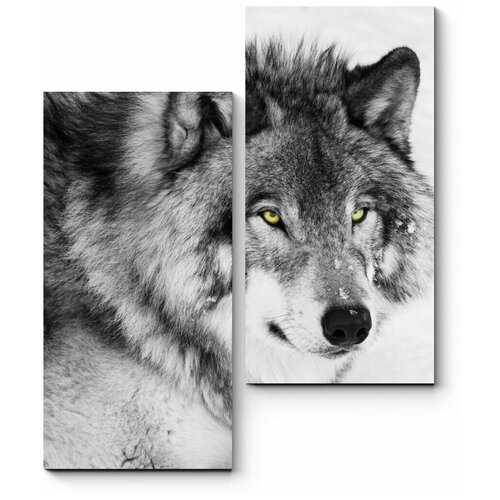 Модульная картина Черно-белый портрет волка 90x113