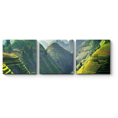 Модульная картина Вьетнамские рисовые поля в горах 100x33