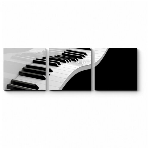 Модульная картина Черно-белая симфония 130x43