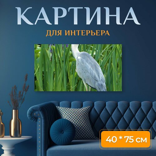 Картина на холсте "Цапля, серая цапля, рыба" на подрамнике 75х40 см. для интерьера