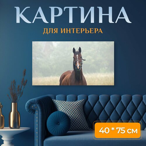 Картина на холсте "Лошадь, природа, пастбище" на подрамнике 75х40 см. для интерьера