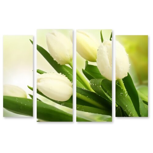 Модульная картина на холсте "Белые тюльпаны" 90x63 см