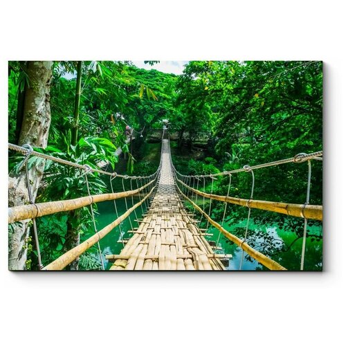Модульная картина Бамбуковый пешеходный подвесной мост через реку в тропическом лесу 70x47