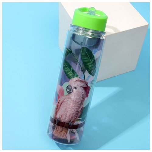 Бутылка для воды «Попугай», 550 мл