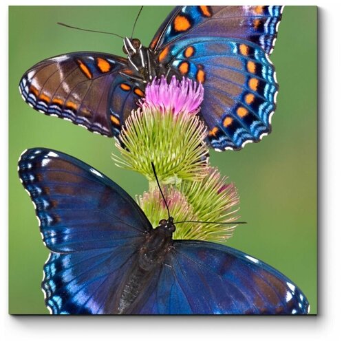 Модульная картина Чарующие бабочки на цветке 20x20