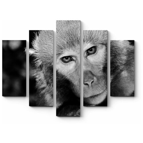 Модульная картина Портрет харизматичной обезьянки125x100