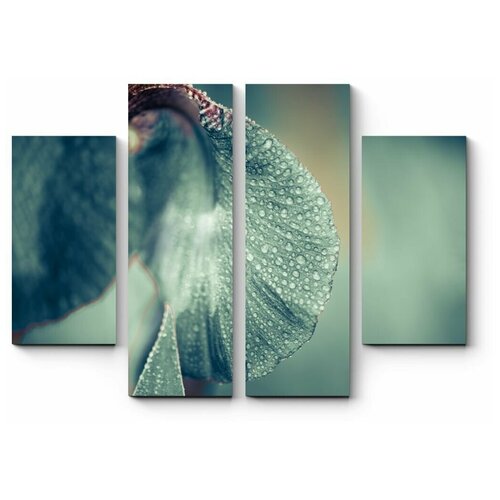 Модульная картина Капли дождя на ирисе 150x113