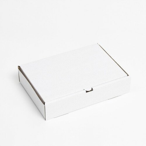 Коробка для пирога, белая, 29 х 20 х 6 см (10 шт)