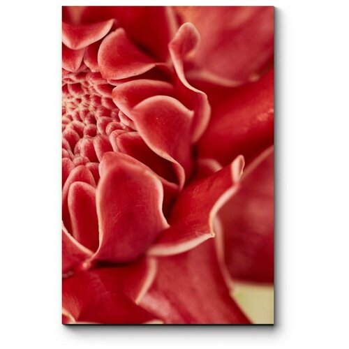 Модульная картина Сердце тропического цветка40x60