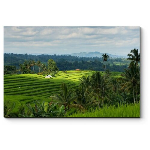 Модульная картина Бали, рисовые поля 90x60