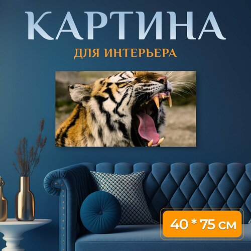 Картина на холсте "Животное, тигр, большой кот" на подрамнике 75х40 см. для интерьера