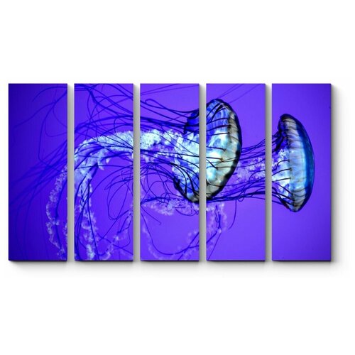 Модульная картина Пара изящных медуз110x66
