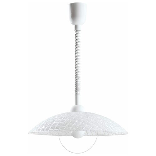Потолочный светильник EGLO Alvez 96474, E27, 60 Вт, кол-во ламп: 1 шт., цвет: белый