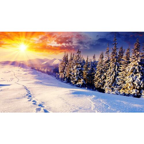 Картина на холсте 60x110 Альянс Лес "Пейзажи солнце деревья зимние" на подрамнике / интерьер/ декор