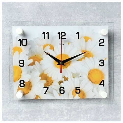 Часы настенные, серия: Цветы, Ромашки, плавный ход, 20 х 26 см