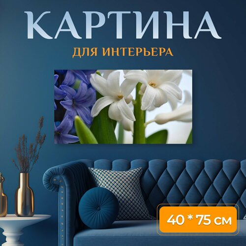Картина на холсте "Гиацинт, цветок, весенний цветок" на подрамнике 75х40 см. для интерьера