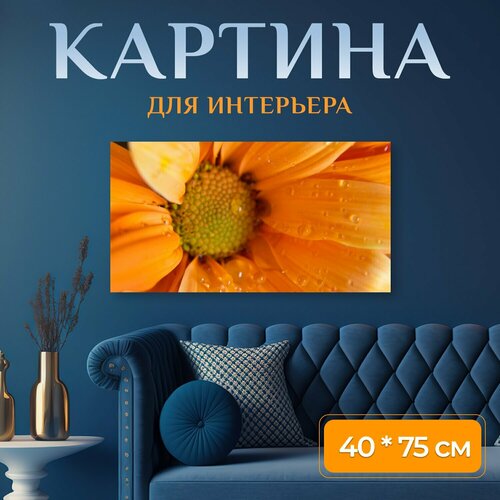 Картина на холсте "Оранжевый цветок, цветы, апельсин" на подрамнике 75х40 см. для интерьера