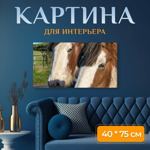 Картина на холсте "Лошади, лошадиные головы, небеса" на подрамнике 75х40 см. для интерьера