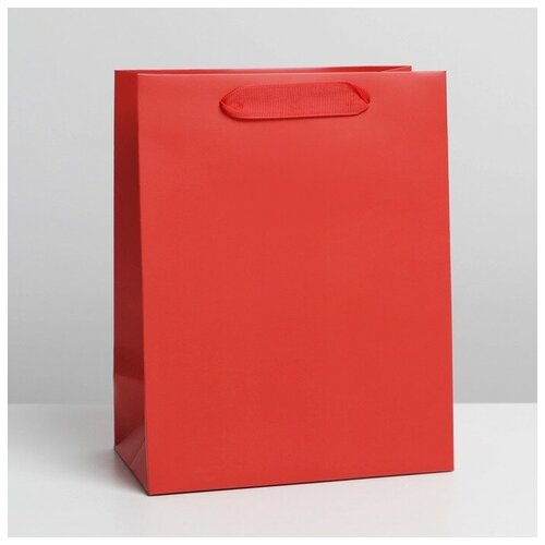 Пакет ламинированный "Красный", MS 18 x 23 x 10 см