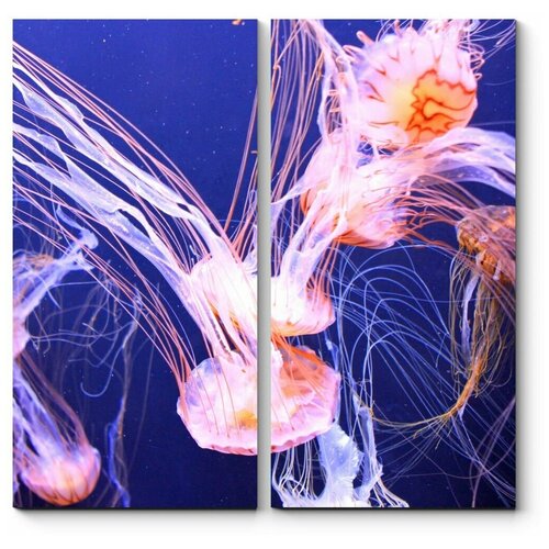Модульная картина Очаровательные медузы80x80