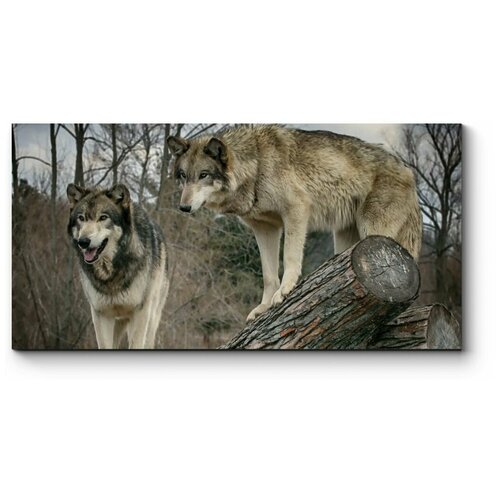 Модульная картина Волки в осеннем лесу 50x25