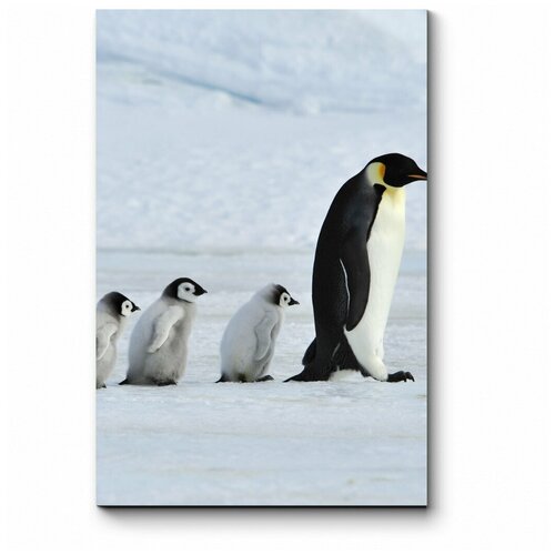 Модульная картина Семейство пингвинов на прогулке 60x90