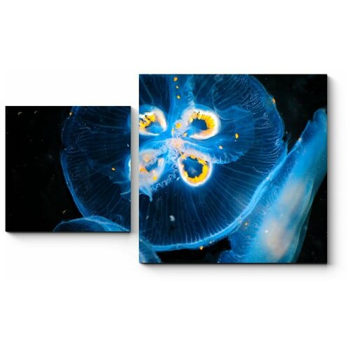 Модульная картина Морские красавицы70x42
