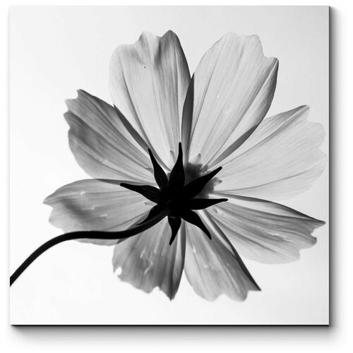 Модульная картина Монохромный цветок 130x130