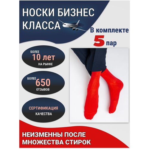 Носки Годовой запас носков, 5 пар, размер 29 (43-45), красный