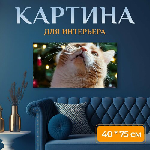 Картина на холсте "Кот, кошачья любовь, домашнее животное" на подрамнике 75х40 см. для интерьера
