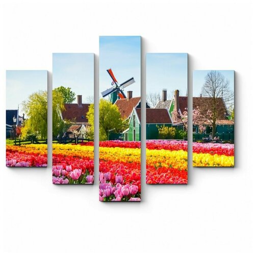Модульная картина Тюльпановое поле, Амстердам 115x92