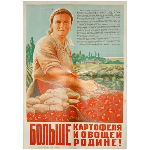 Постер / Плакат / Картина Советские постеры - Больше картофеля и овощей Родине! 40х50 см в раме