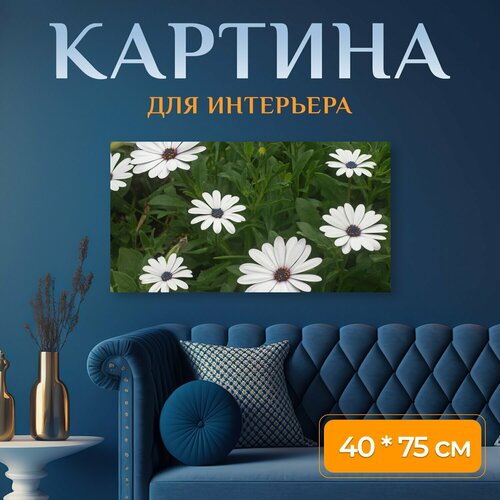 Картина на холсте "Цветок, флора, лепесток" на подрамнике 75х40 см. для интерьера
