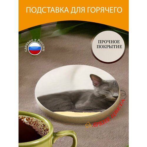 Подставка под горячее "Кошка, русская голубая, кот" 10 см. из блого мрамора