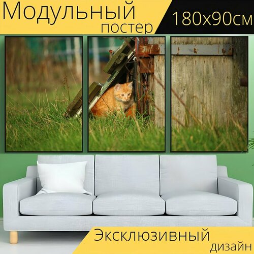 Модульный постер "Котенок, красный полосатый, кошка ребенок" 180 x 90 см. для интерьера