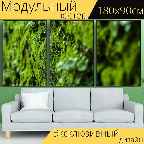 Модульный постер "Мох, природа, зеленый" 180 x 90 см. для интерьера