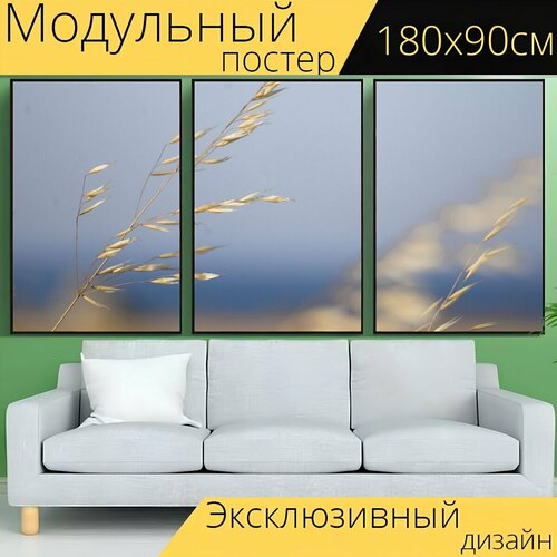 Модульный постер "Летом, пшеница, сельское хозяйство" 180 x 90 см. для интерьера