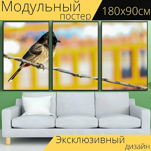 Модульный постер "Птичка, природа, животное" 180 x 90 см. для интерьера