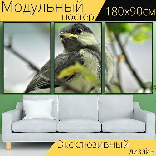 Модульный постер "Птица, природа, милый" 180 x 90 см. для интерьера