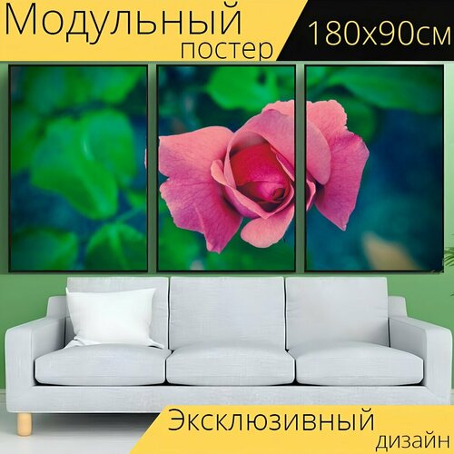 Модульный постер "Блум, цвести, флора" 180 x 90 см. для интерьера