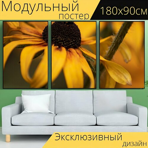 Модульный постер "Цветок, желтый, растения" 180 x 90 см. для интерьера