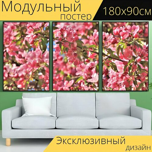 Модульный постер "Яблони, цветут, май" 180 x 90 см. для интерьера