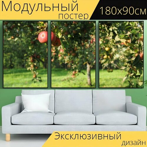 Модульный постер "Яблоки, яблоня, фрукты" 180 x 90 см. для интерьера