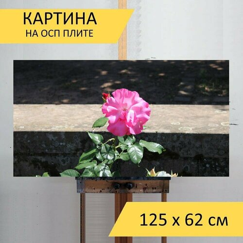 Картина на ОСП 125х62 см. "Роза, розовый, стена" горизонтальная, для интерьера, с креплениями