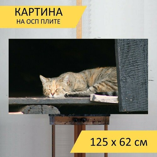 Картина на ОСП 125х62 см. "Кот, спящая кошка, милый" горизонтальная, для интерьера, с креплениями