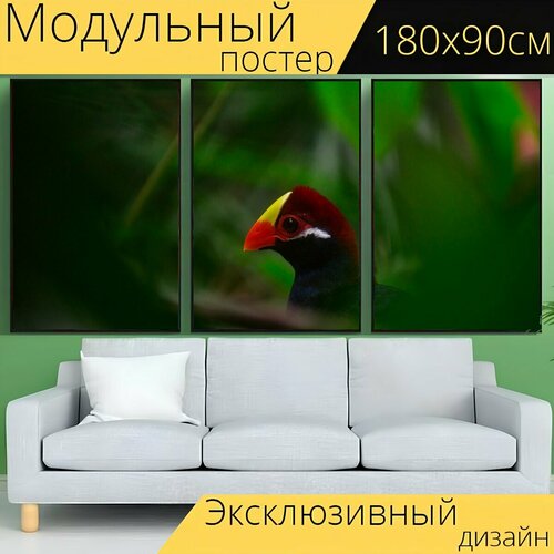 Модульный постер "Птица, тропический лес, тропический" 180 x 90 см. для интерьера