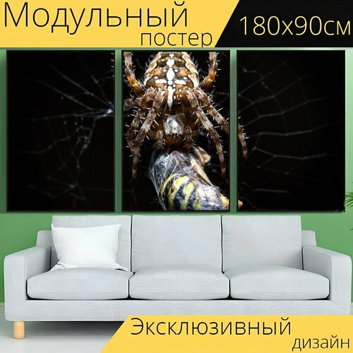 Модульный постер "Паук, паукообразный, насекомое" 180 x 90 см. для интерьера