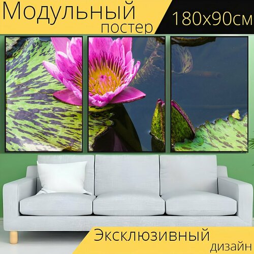 Модульный постер "Цветок, водяная лилия, пруд цветок" 180 x 90 см. для интерьера